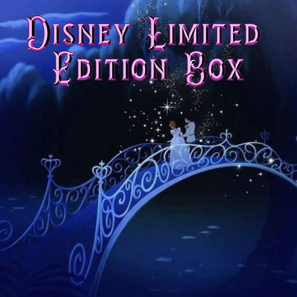 Disney – Limited Edition Box (2023’s Most Awaited Box) – The Big Fan Boxes